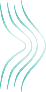 About - Bridgeway Partners